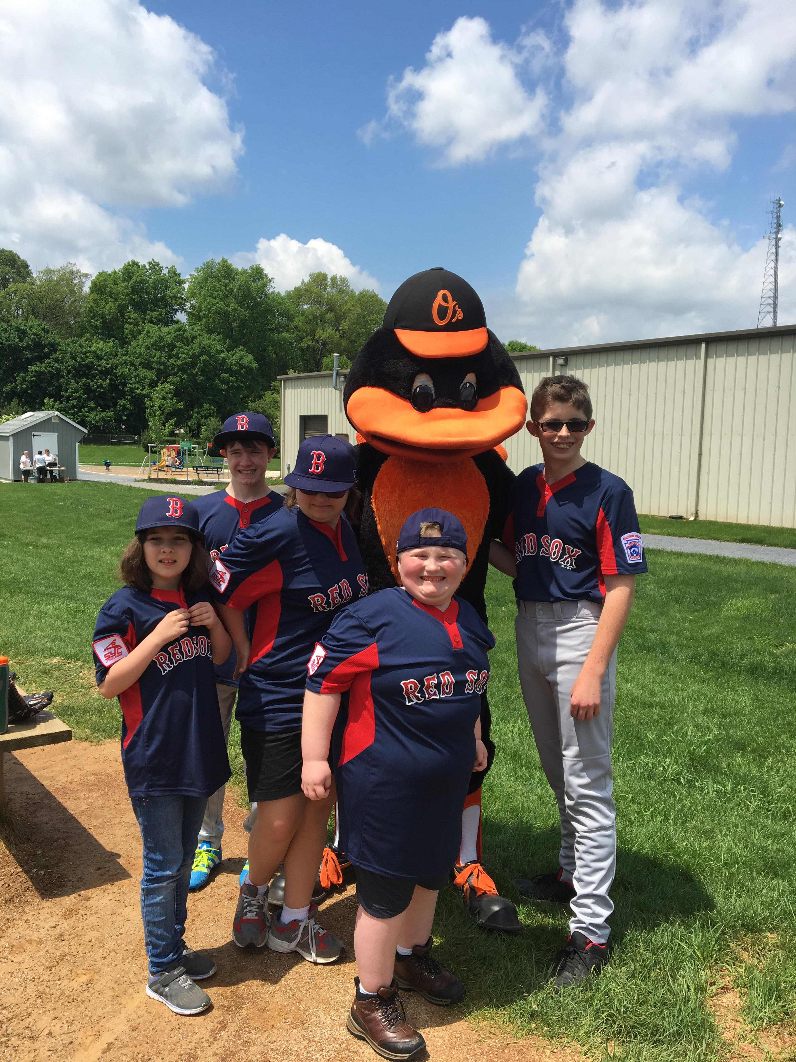 Challenger Baseball